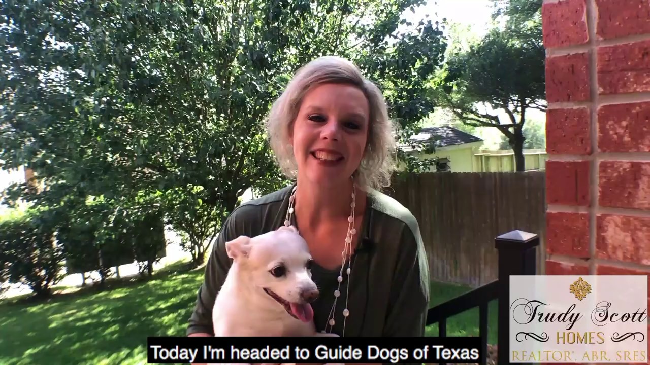 Living in San Antonio Texas: Guide Dogs of Texas for the Blind or ...