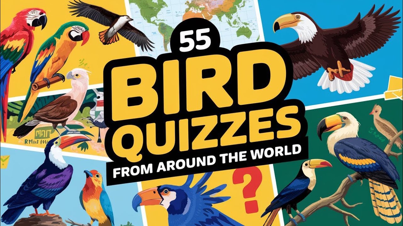 "55 Bird Quizzes from Around the World: Are You a True Bird Expert ...