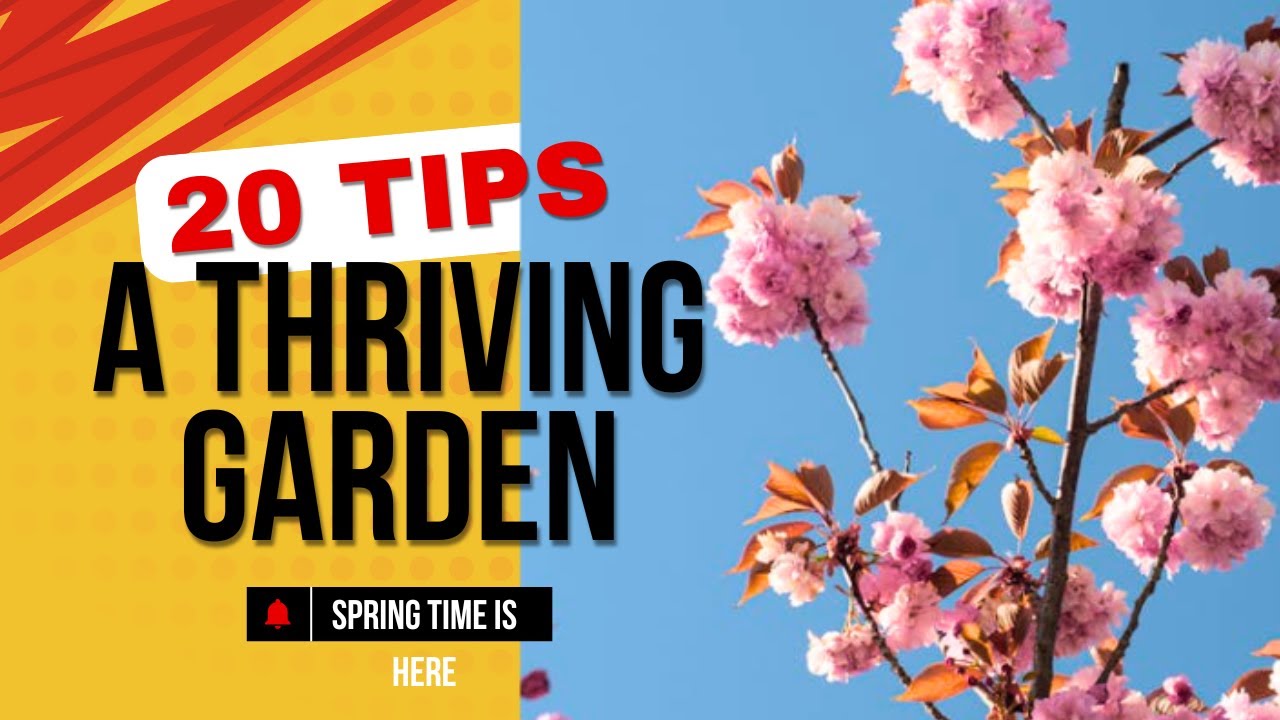 20 garden tips for a thriving spring garden - YouTube