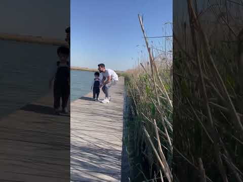 #ahmedmustafayev #harunla #gezinti #music