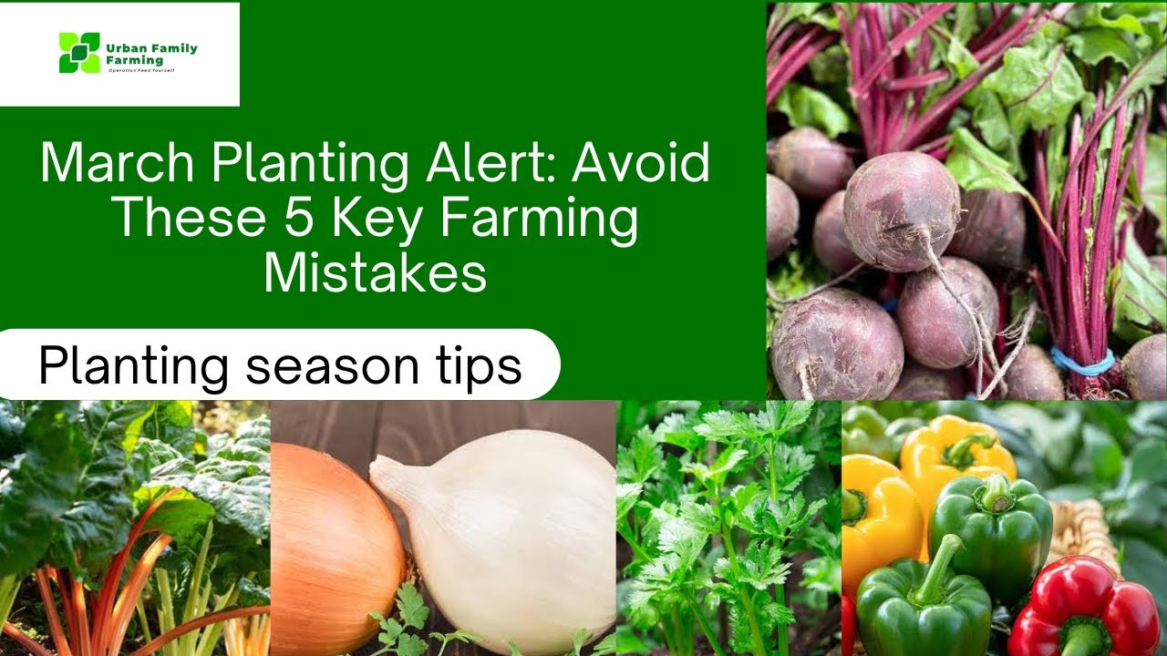 March Planting Alert: Avoid These 5 Key Farming Mistakes #urbanfarming ...