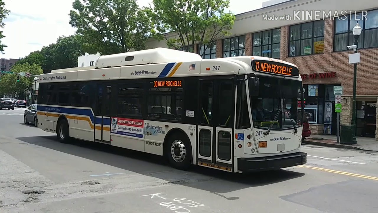 the bee-line system 🐝 Slideshow "Electric Buzzers" - YouTube