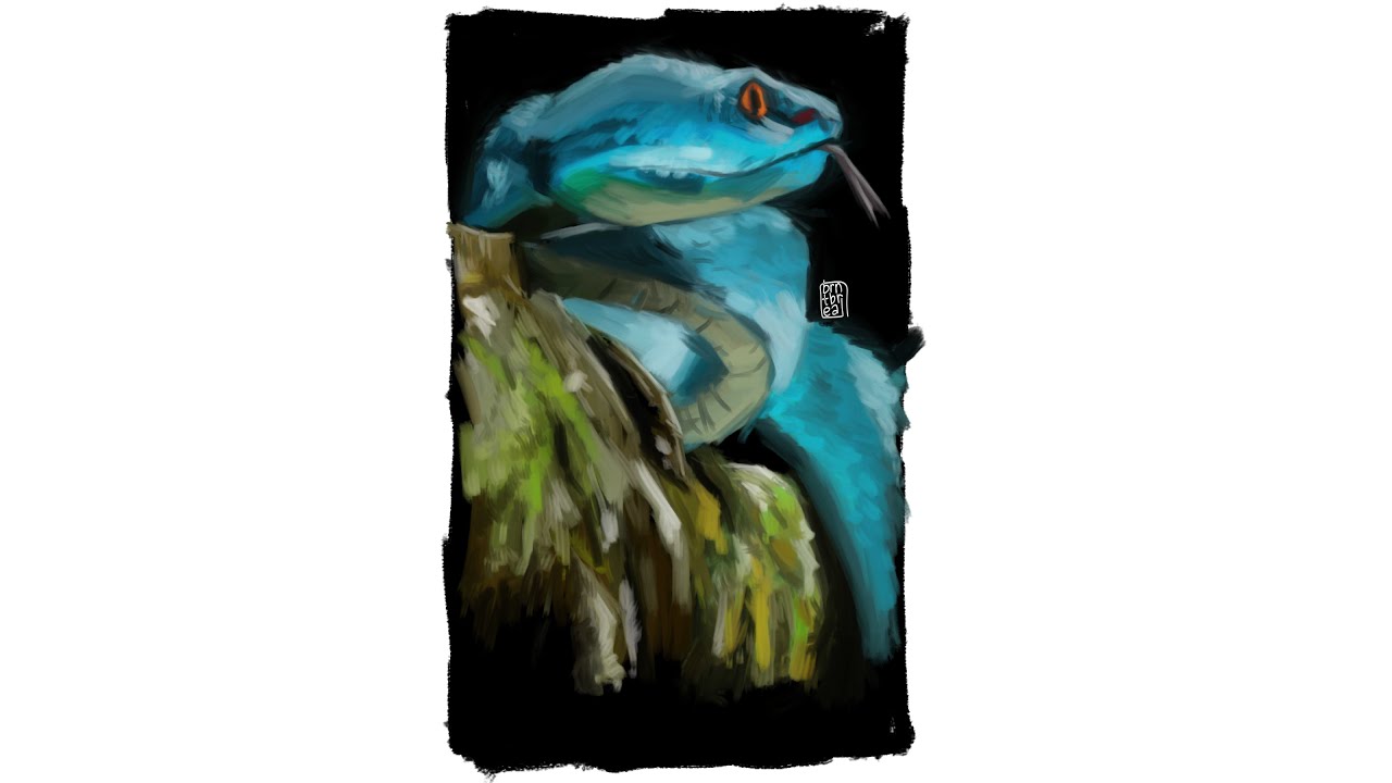 ANIMAL PORTRAIT #1 | SNAKE | DIGITAL PAINTING - YouTube