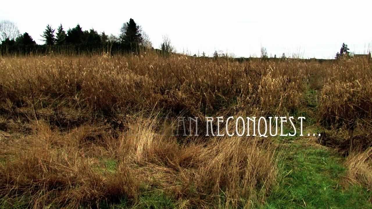 Reconquista - The Christian Reconquest (School Video) - YouTube
