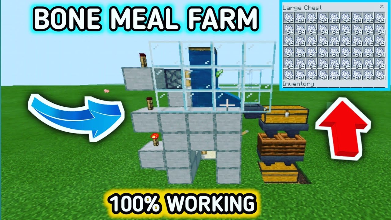 AUTOMATIC BONE MEAL FARM TUTORIAL IN MINECRAFT BEDROCK - YouTube