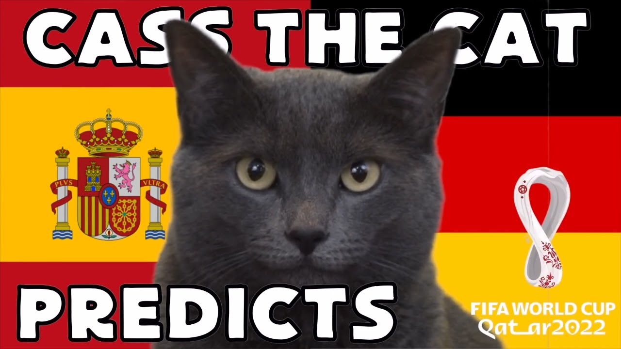 SPAIN 🆚 GERMANY - CASS THE CAT PREDICTS - YouTube