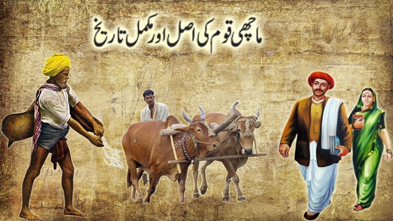 Machhi Kon He/माची जाति का इतिहास/History of MACHHI Caste in urdu hindi ...