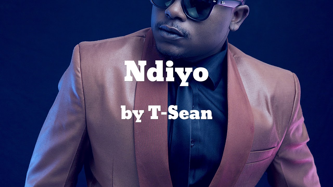 Ndiyo ft Petersen - T-Sean - YouTube