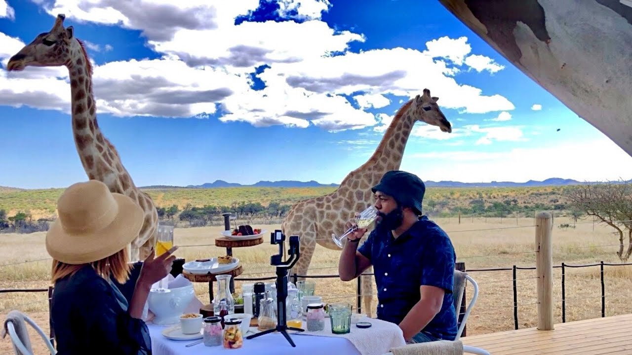 Giraffe Feeding in Namibia | Voigtland Guesthouse | Unique experiences ...