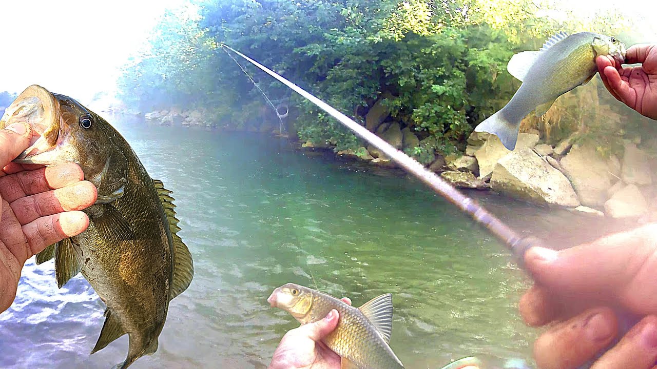 EARLY FALL MULTISPECIES FISHING THE WHITEWATER RIVER HOW MANY SPECIES ...