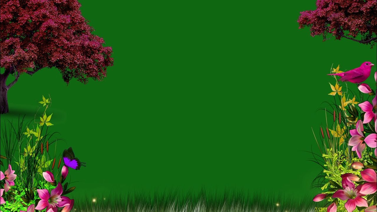 Chroma Key Green Screen / Green Screen Background Video / Nature Green ...