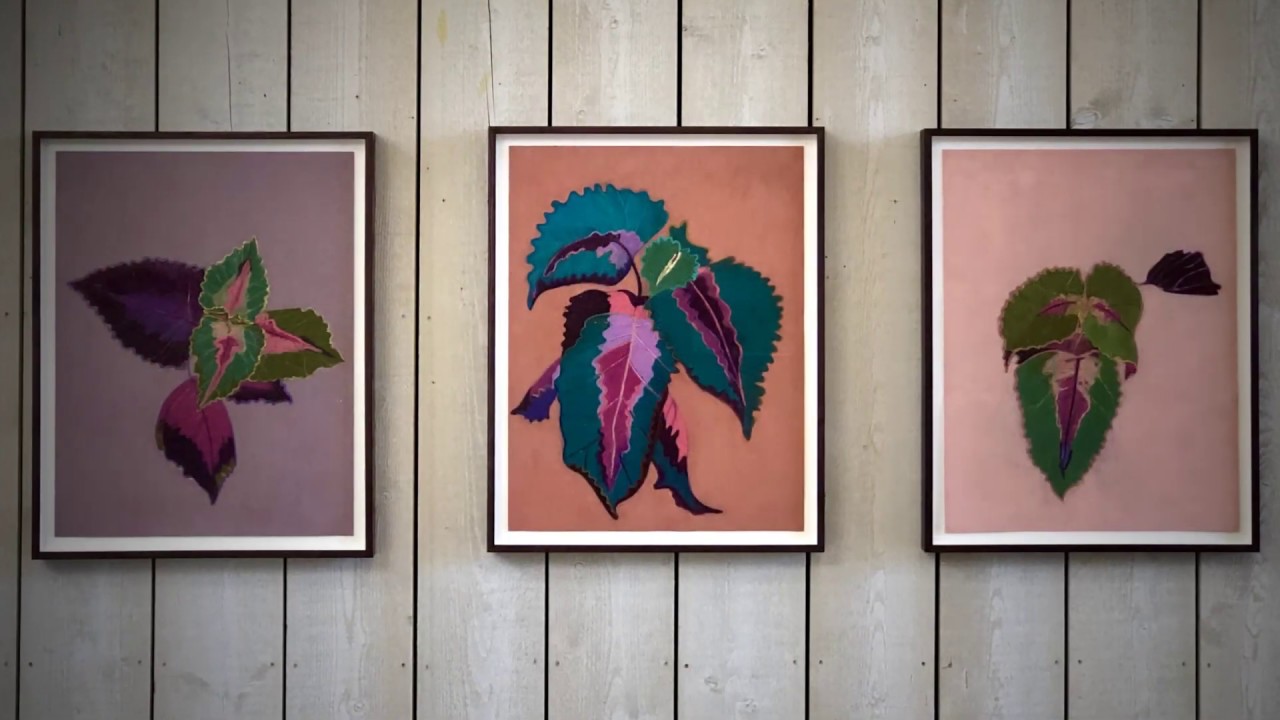 Emma Hartman – A Ballad for You - YouTube