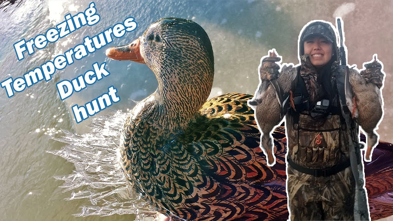 Cold Front Duck Hunt 2020 - YouTube