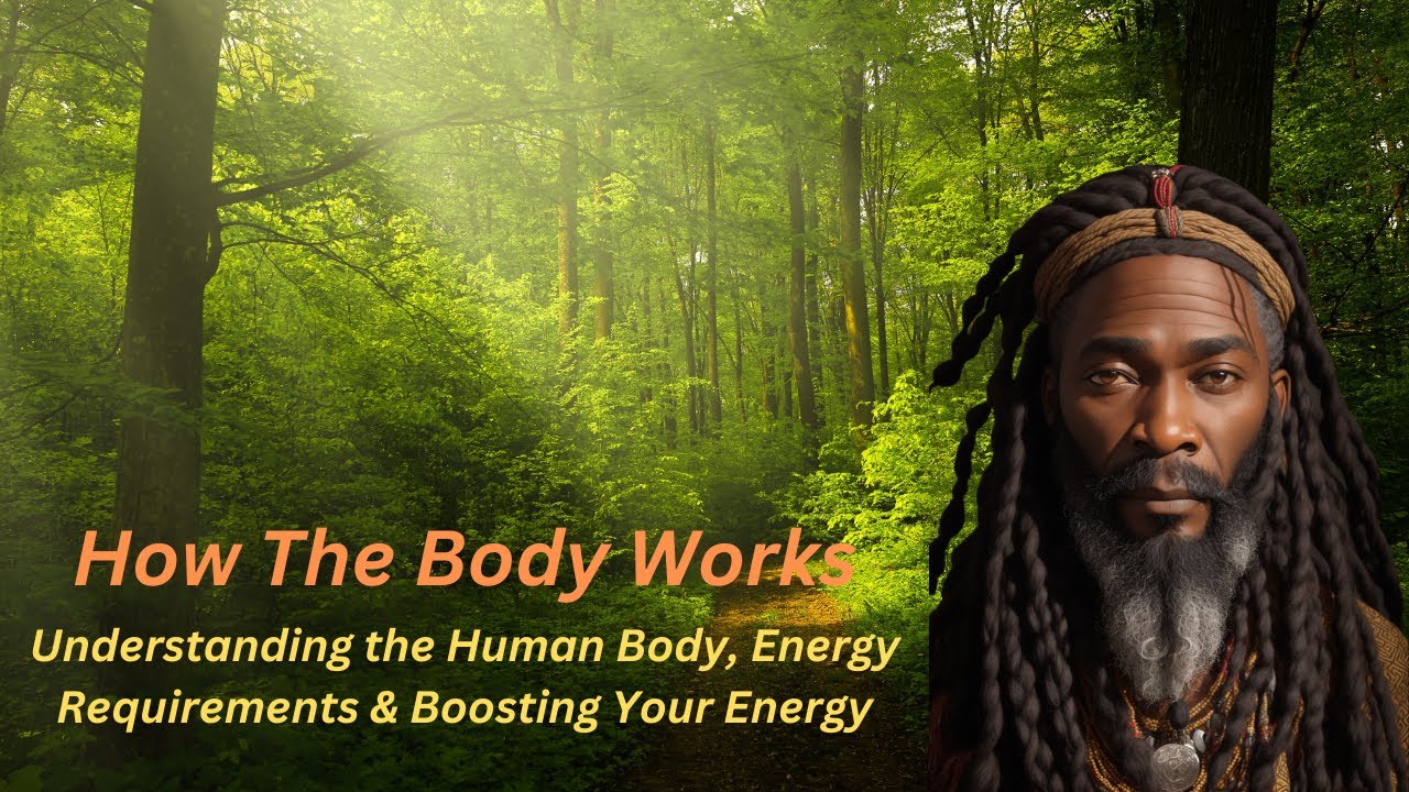 3. BHS How The Body Works: Understanding the Human Body, Energy ...