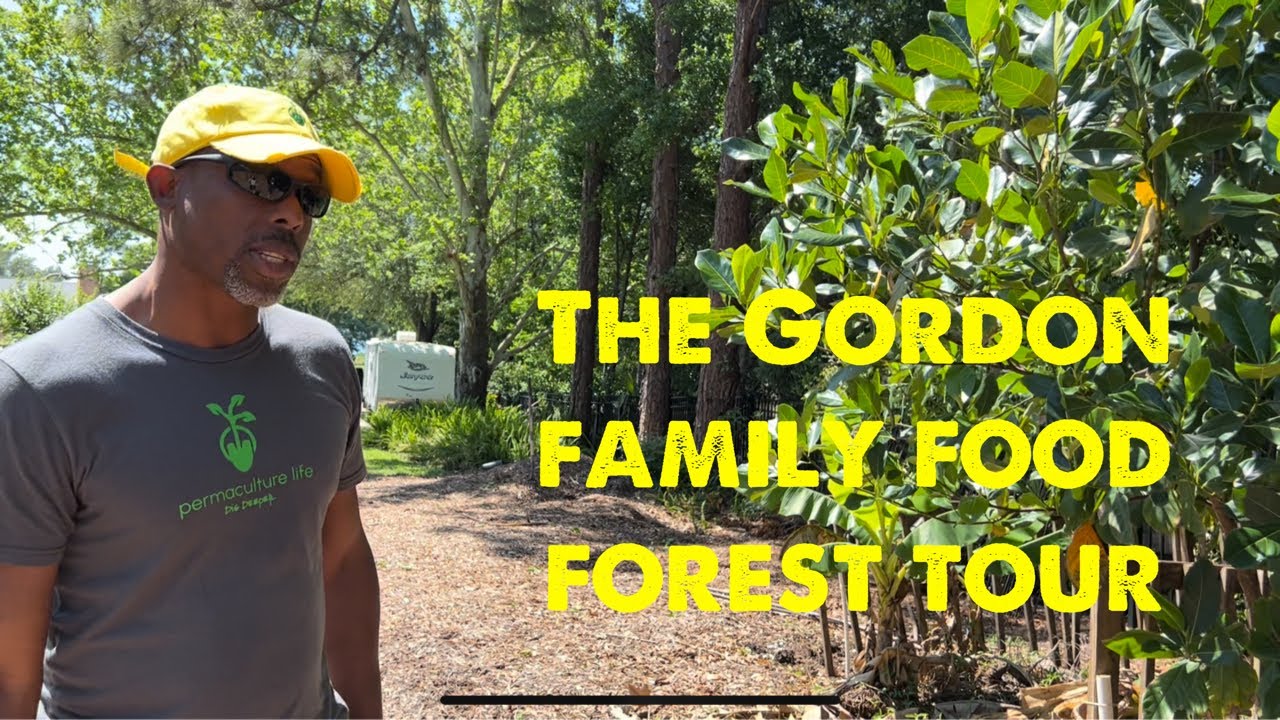 The Gordon’s Central Florida family food forest - YouTube