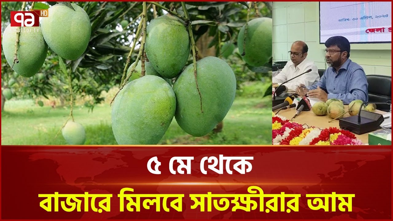 বাজারে আসছে সাতক্ষীরার আম | Satkhira | Gopalvog Mango | Ekattor TV ...