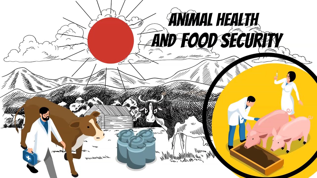 Animal Health and Food Security - YouTube