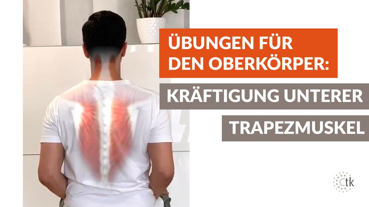 Kräftigung unterer Trapezmuskel - YouTube