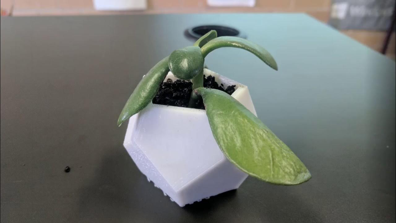 How to Create a Geometric Planter in Fusion 360 - YouTube