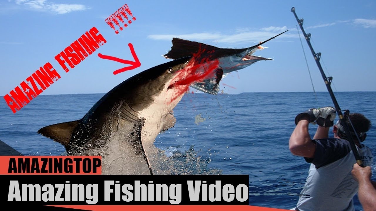 Top 10 Amazing Shocking Dangerous Fishing Moments Caught On Camera 2017 ...