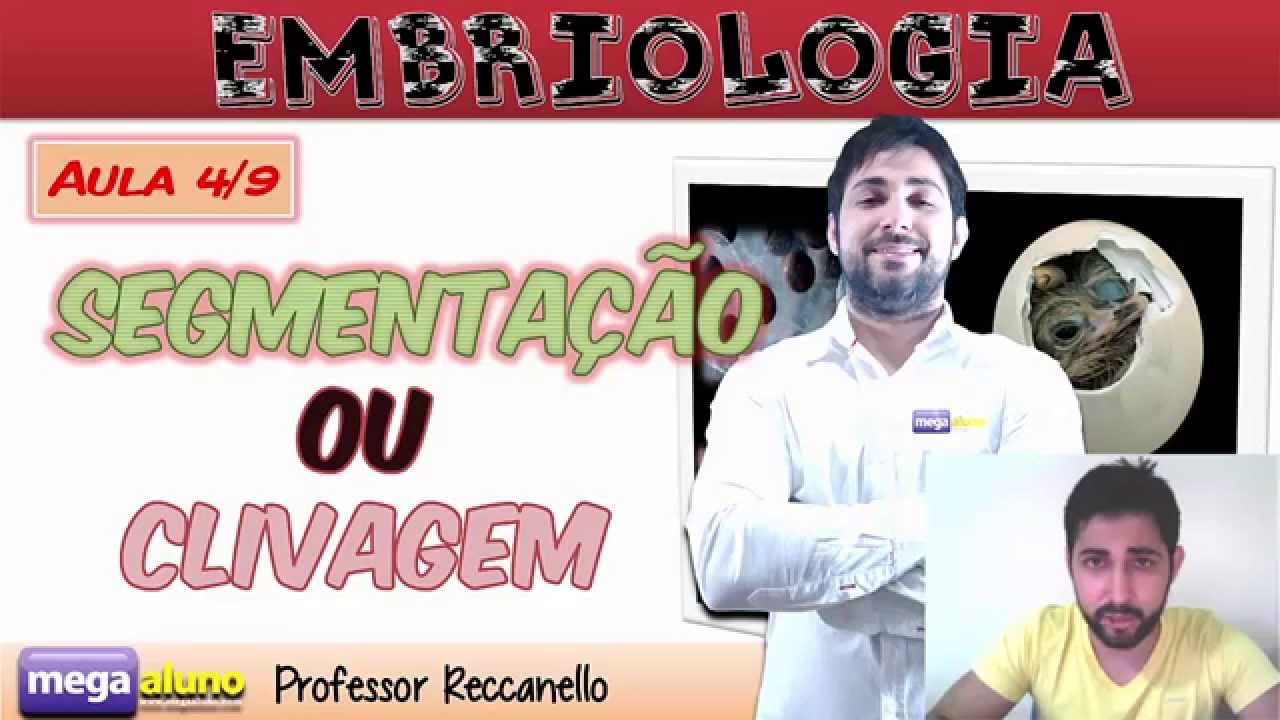 Segmentação ou clivagem - Embriologia - Aula 4/9 - YouTube