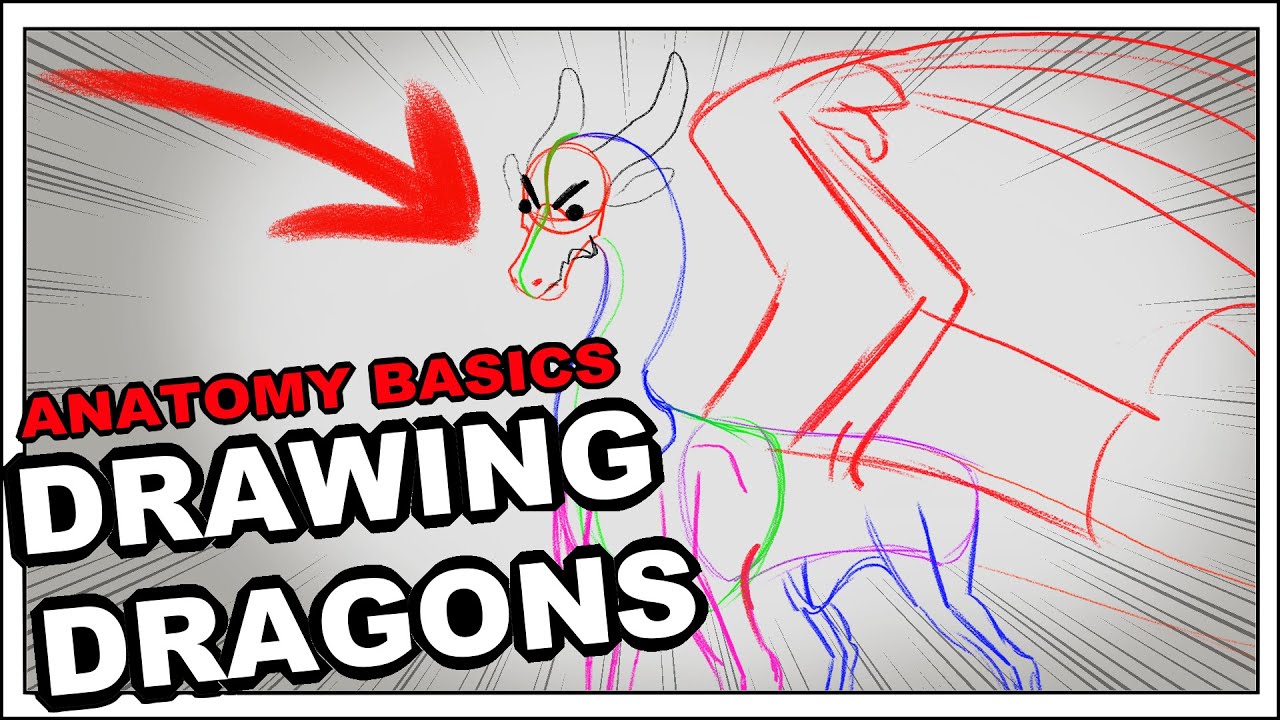 DRAWING DRAGONS - Anatomy Basics Art Tutorial, How I Do It! - YouTube