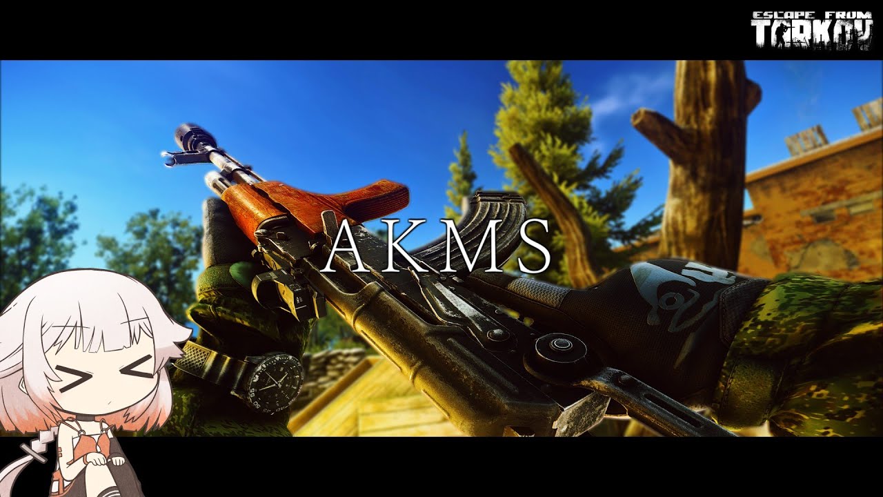 AKMS 魅惑のハンドガード【IAONE実況】【タルコフ】【EFT】 - YouTube