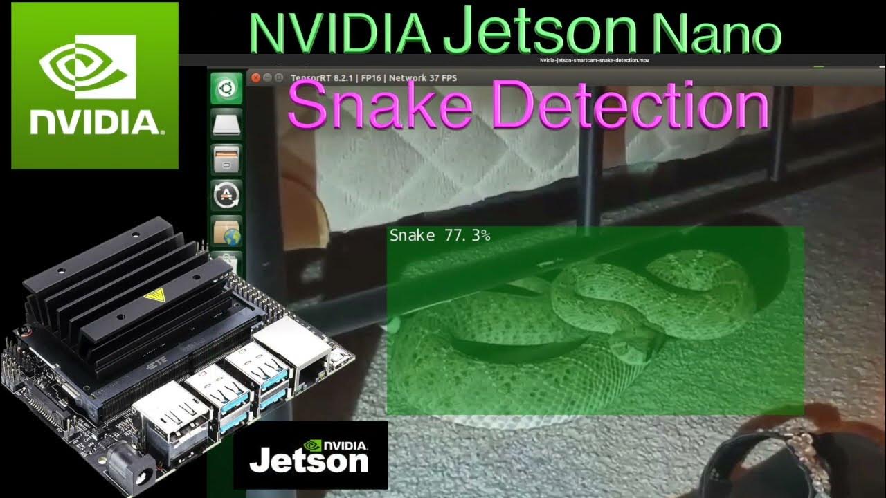 NVIDIA Jetson Nano Snake Detection ( SSDlite MobileNet V2 ) - YouTube