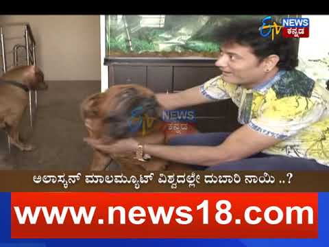 CADABOM'S SATISH WORLD'S FIRST CELEBRITY DOG BREEDER most expensive 1 ...