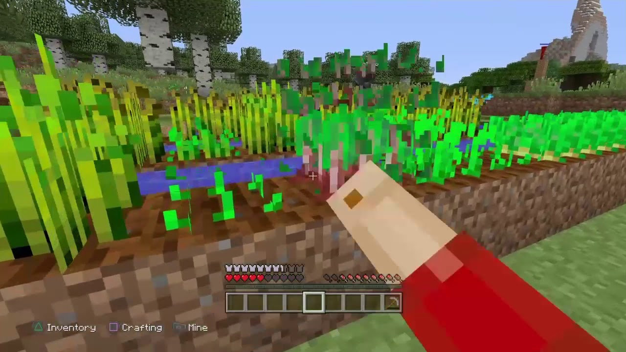 Minecraft Part 6- Miscellaneous Adventures - YouTube