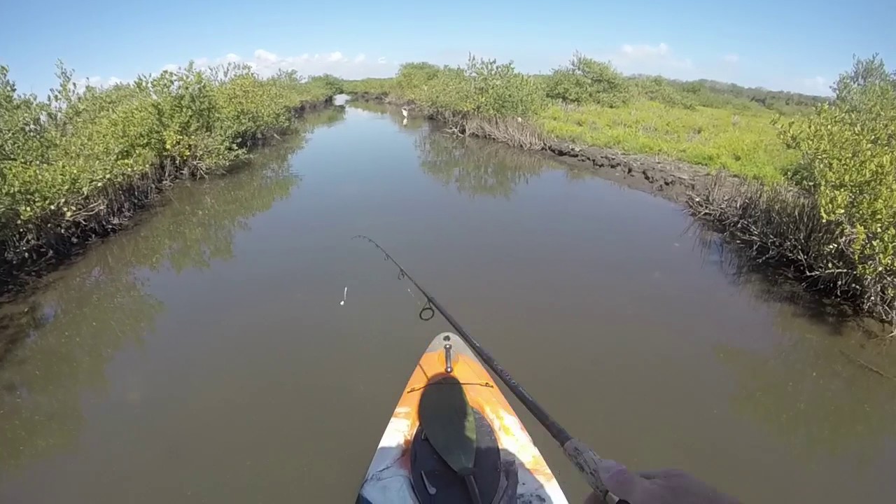 5 Indian River Lagoon Redfish - YouTube
