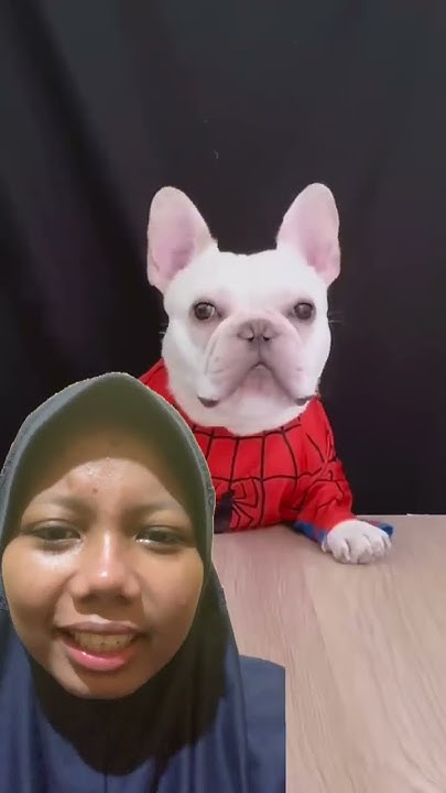 siapa yg kasian sama kakaknya? #shorts #short #shortsvideo - YouTube