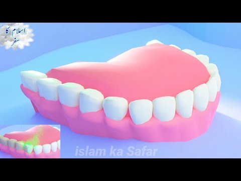 Our teeth | islam ka Safar | structure of teeth work | how work teeth ...