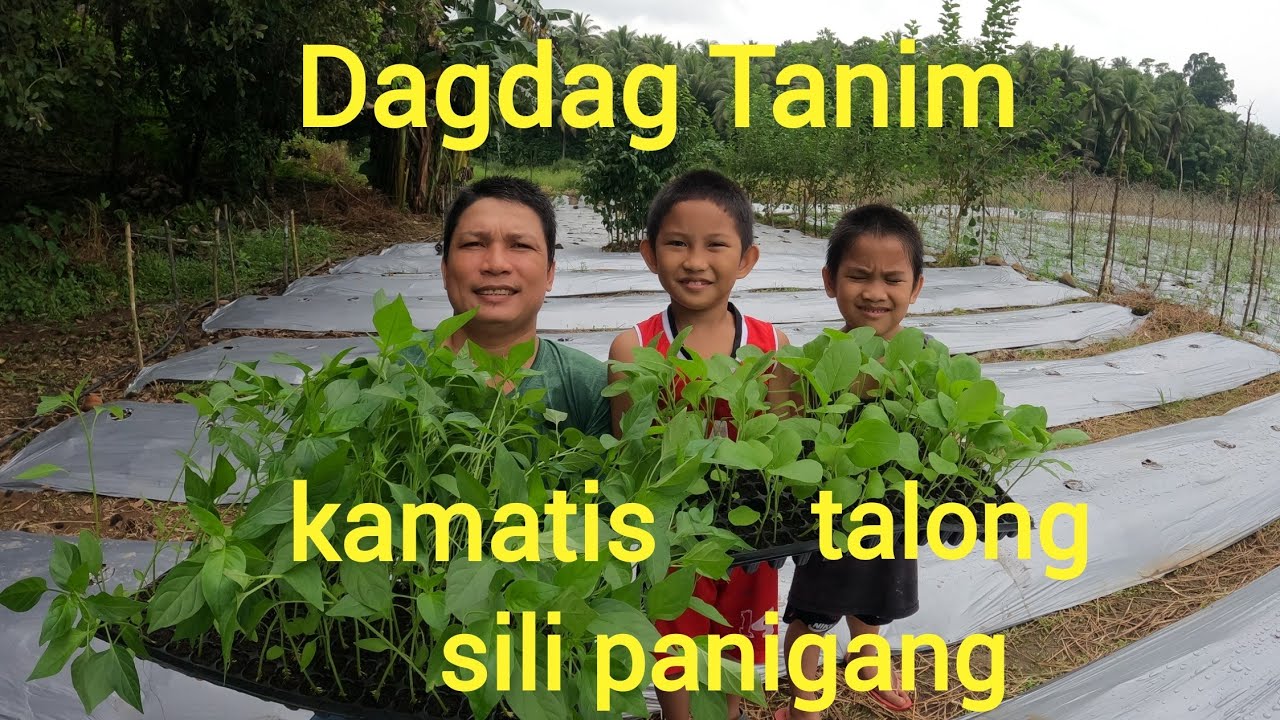 Tulong tulong sa pagtatanim - YouTube