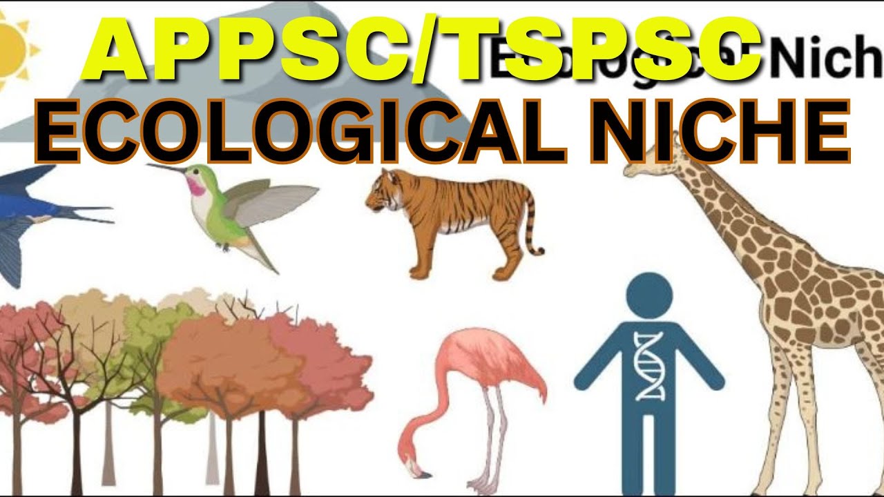 ECOLOGICAL NICHE MEANS?SCIENCE TECH //APPSC GROUP2 //SANTHOSH SIR - YouTube