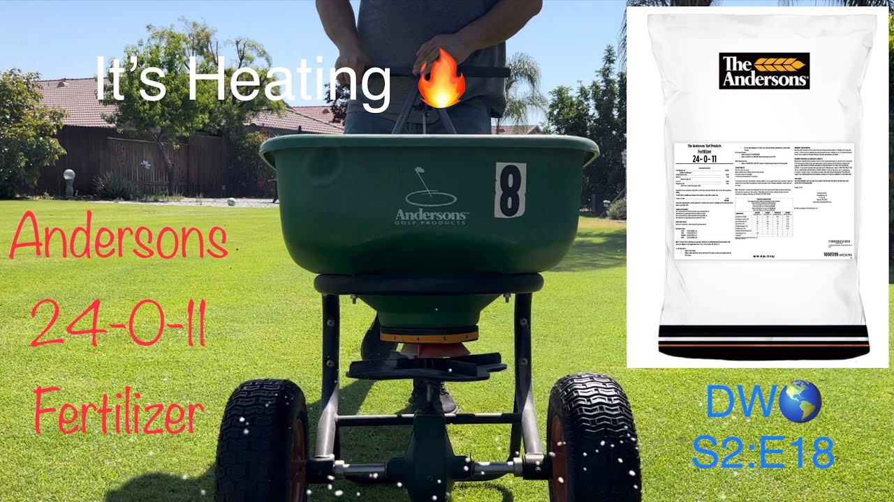 Andersons 24 0 11 Fertilizer It s To Push The Bermuda Mclane GK