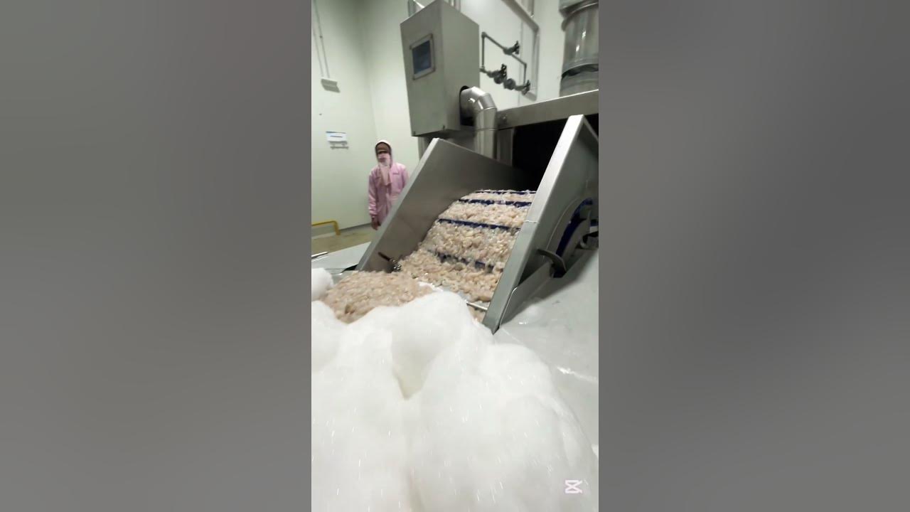 Shrimps production : IQF - YouTube