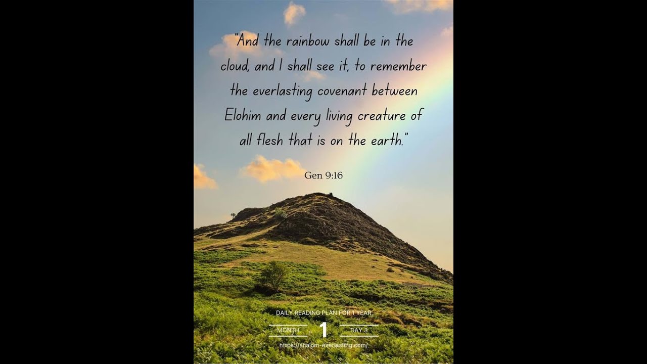 Daily Scripture reading: Genesis 8-11 - YouTube