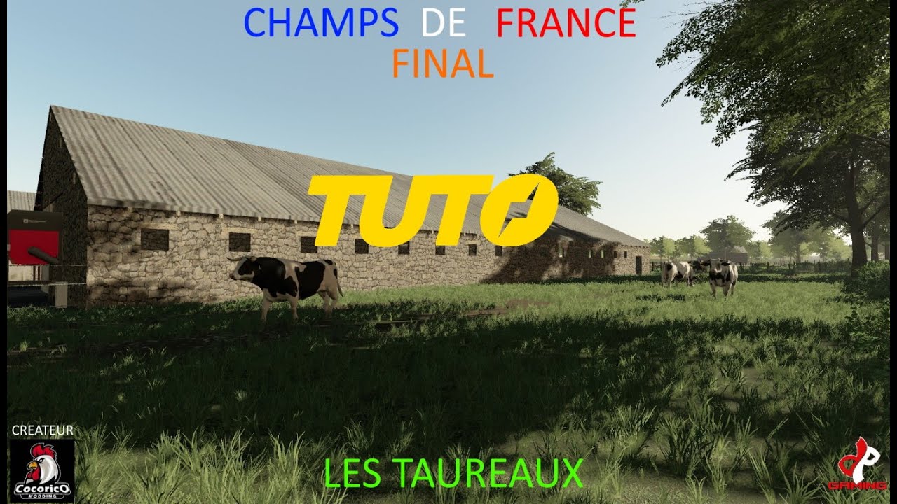 fs19 champs de france TUTO : les taureaux - YouTube