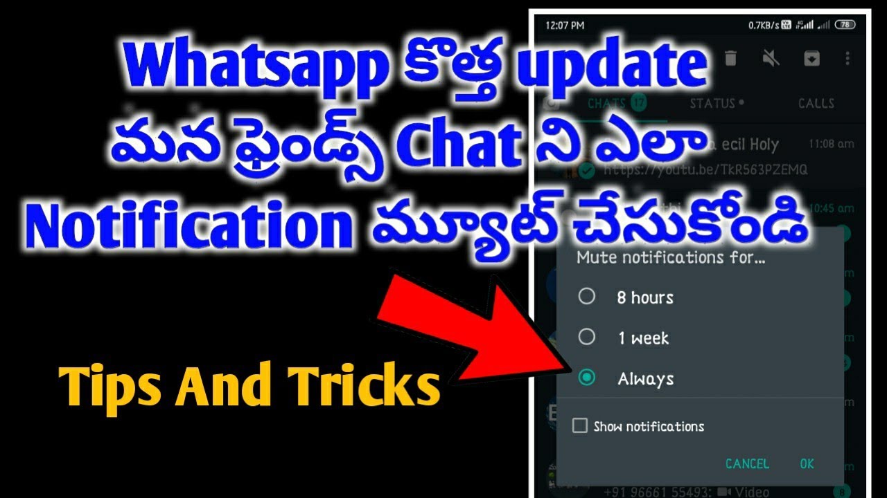 How To Mute Whatsapp Chat Notification At Particular Time And Life Long how-to-mute-whatsapp-chat-notification-at-particular-time-and-life-long