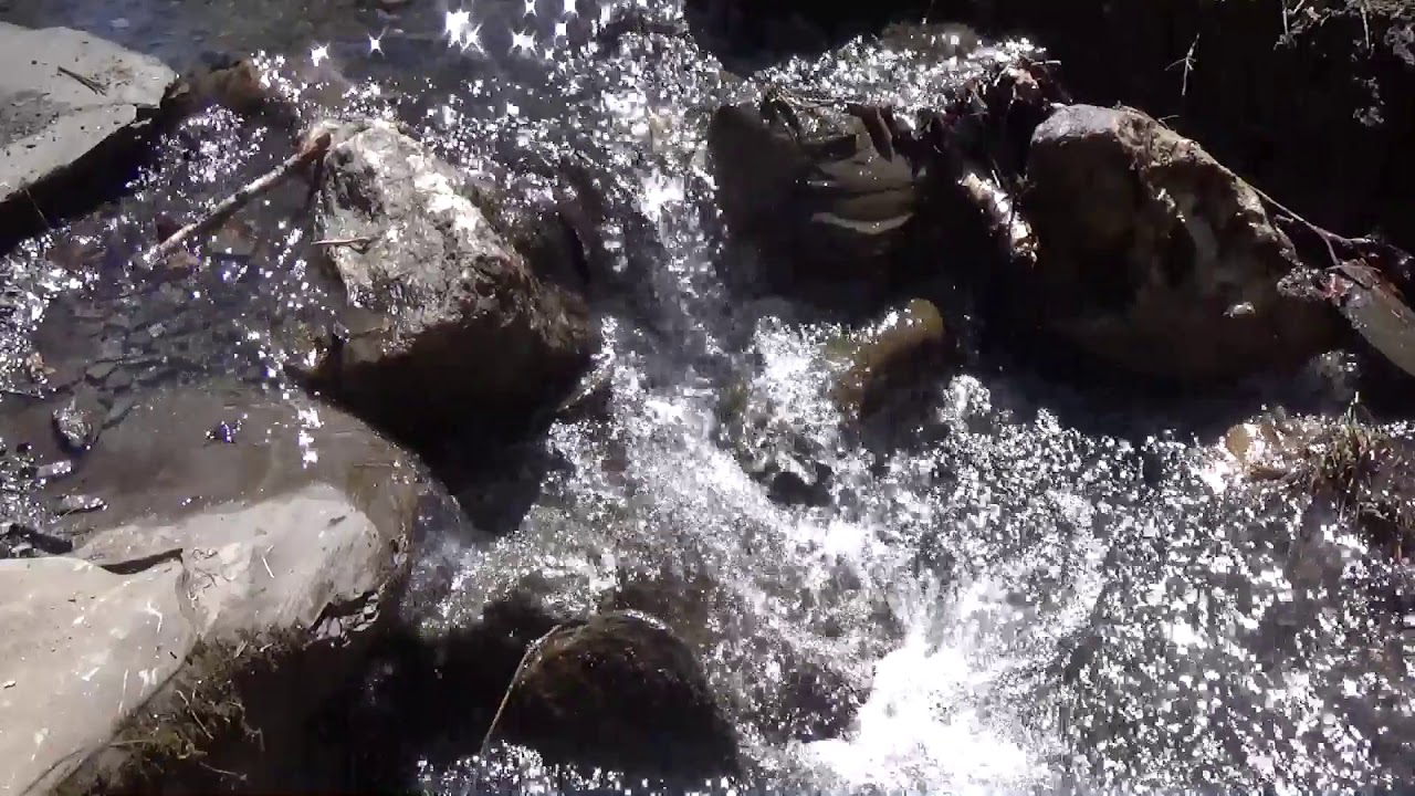Glistening Stream | Nature Sounds | 10 Minutes - YouTube