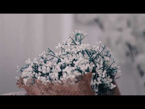 THE ENGAGEMENT: MUHD IRWAN & NUR DIANA (TEASER)