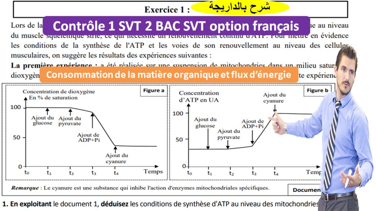 Contrôle 1 svt 2bac svt option francais - YouTube