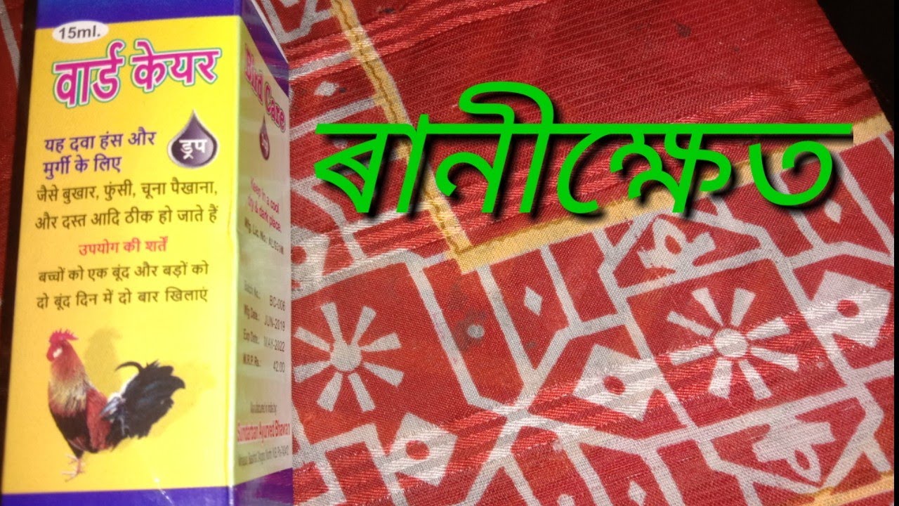 #ৰানীক্ষেত Ranikhet Vaccine || Chickes Ranikhet Vaccine - YouTube