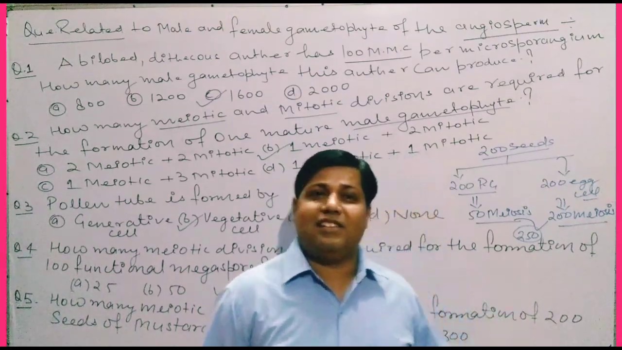 class-12-lecture-no-24-topic-sexual-reproduction-in-flowering-plants