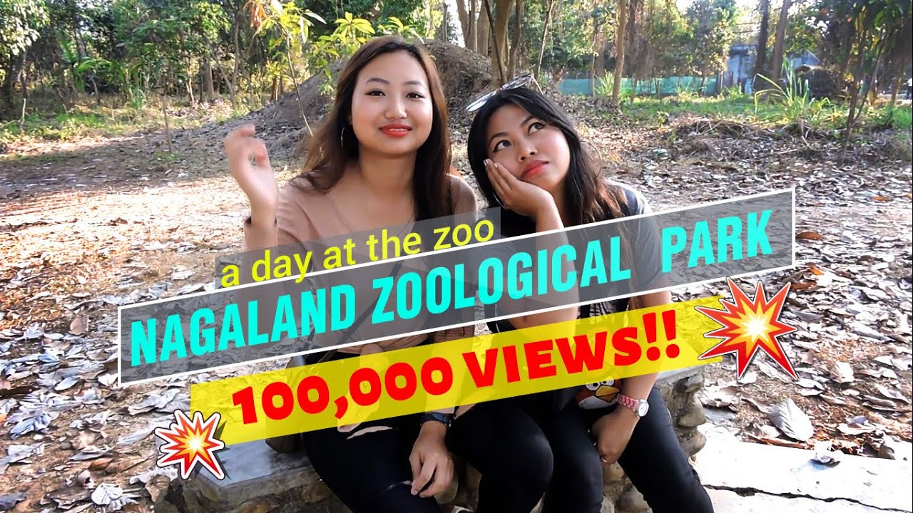 A day at the zoo | Nagaland Zoological Park - YouTube