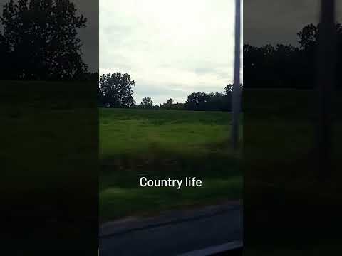 Country life - YouTube