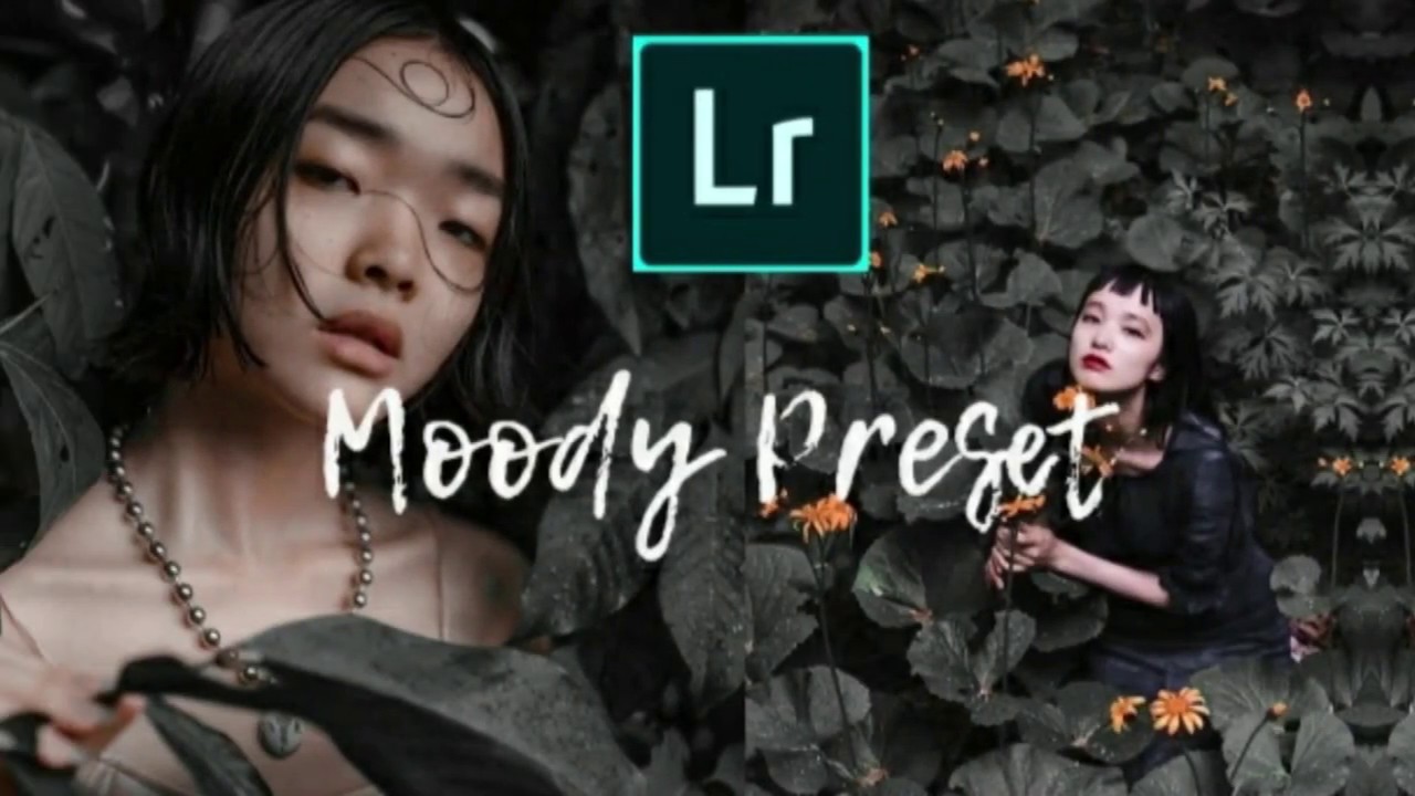Moody Preset | Lightroom Mobile Presets Free Dng | Mobile Tutorial | Shince TV 2020 - YouTube