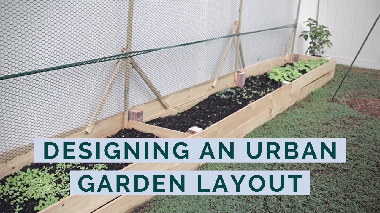 Choosing a Vegetable Garden Layout | Urban Vegetable Gardening for ...