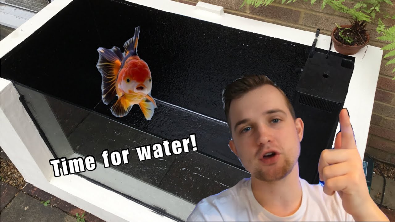 Getting the pond ready for fish! - YouTube